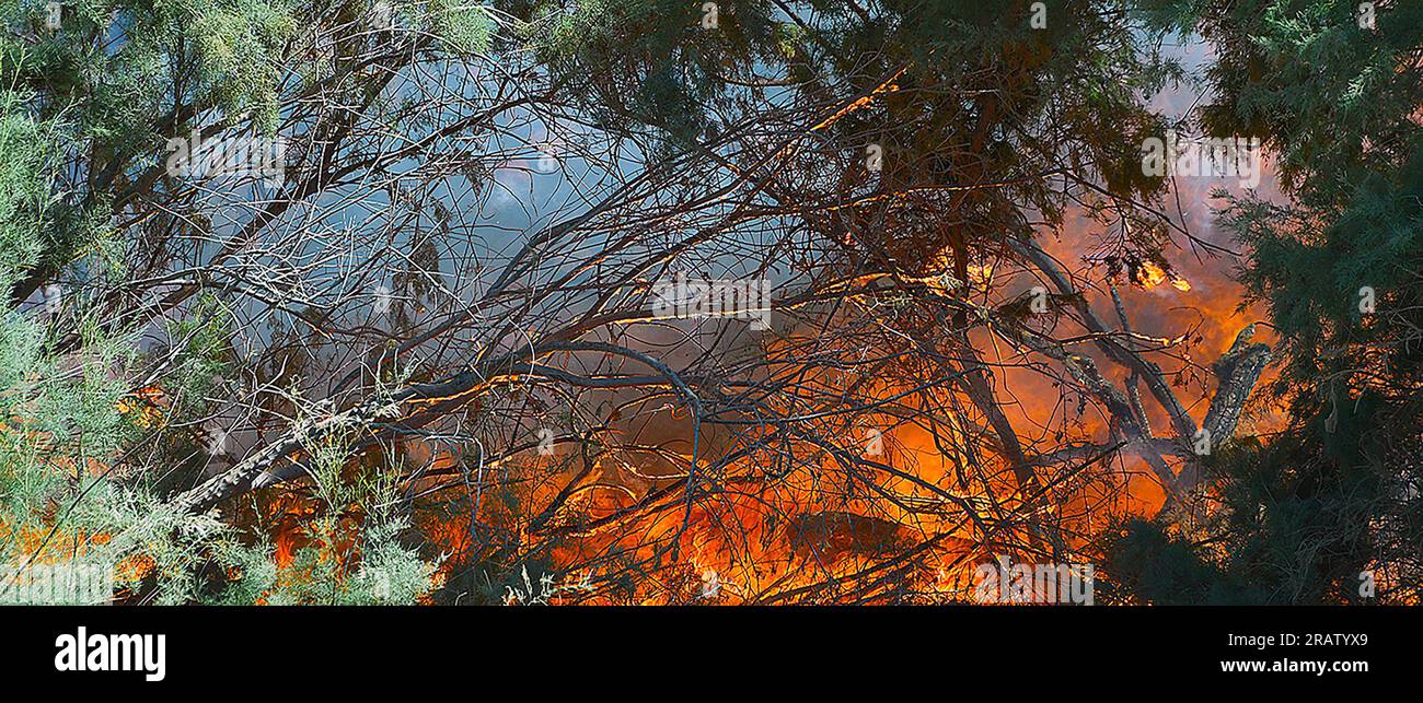 Wildfire flames scorch vegetation between Avenue 3 1/2E and the ...