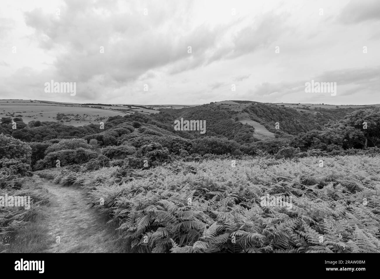 View from the top of Countisbury Hill of Watersmeet Valley in Exmoor ...