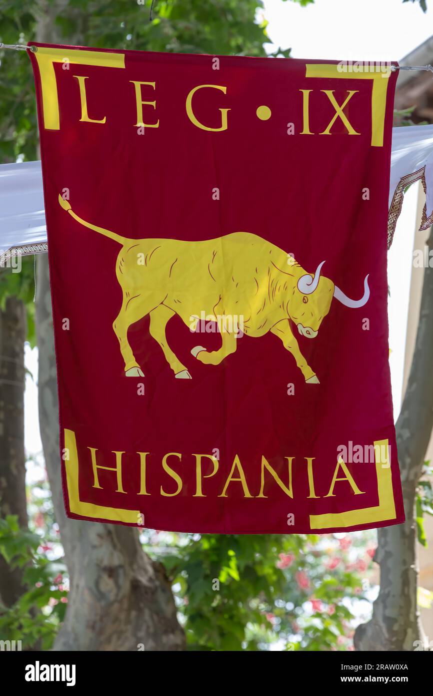 vertical view of the banner of the IX Roman legion, hispania Stock ...