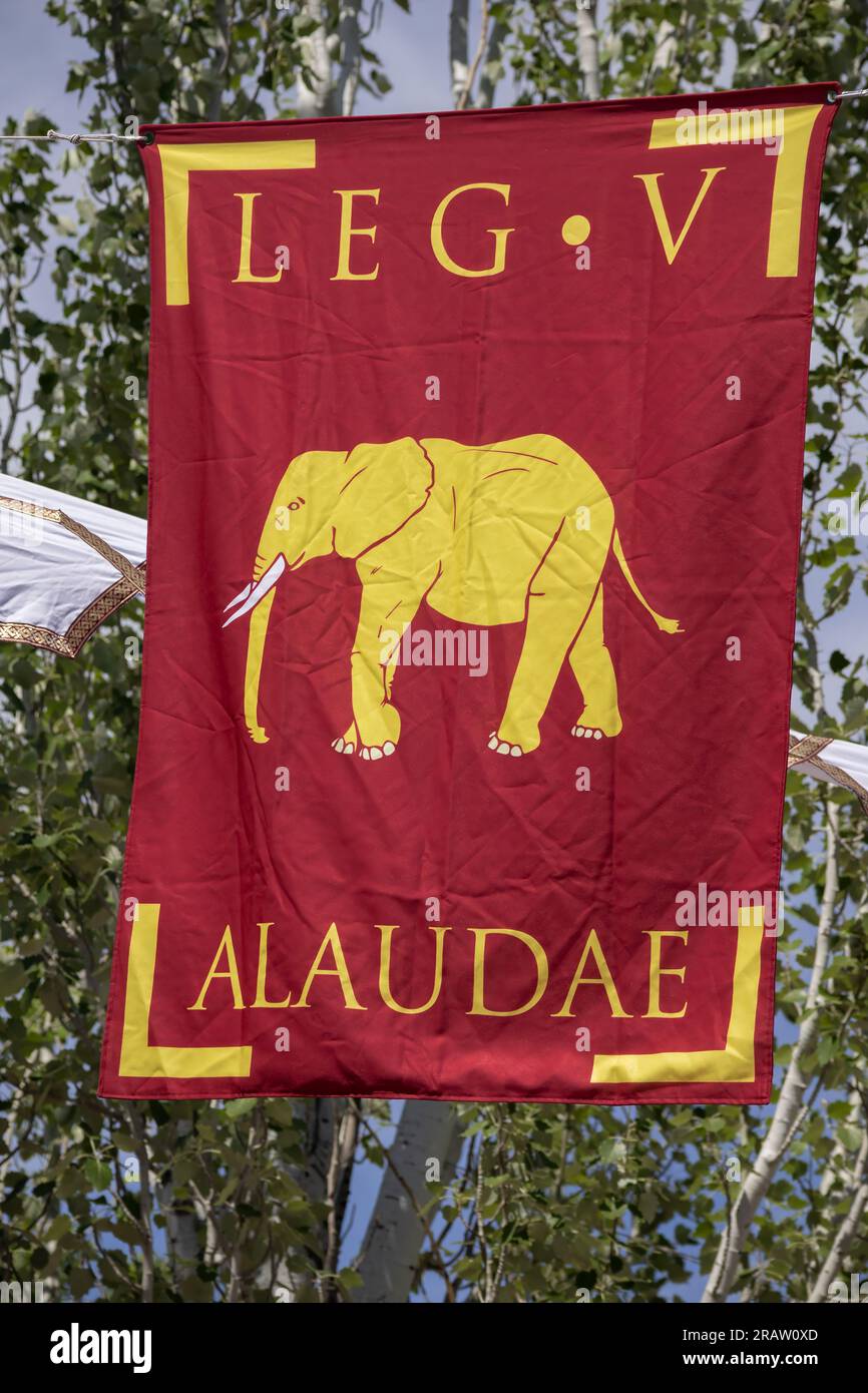 vertical view of the banner of the V Roman legion, alaudae Stock Photo ...