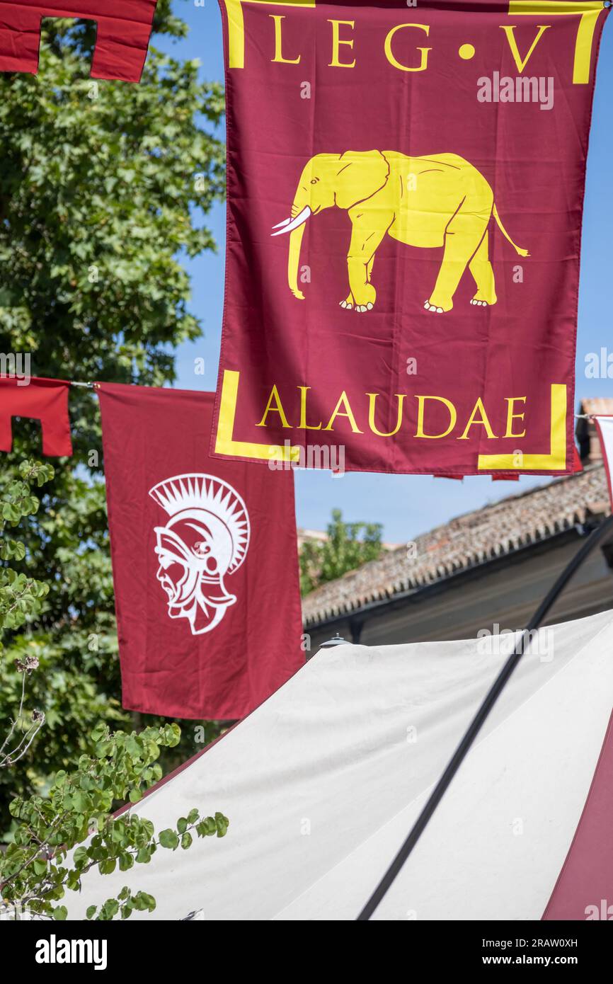 Ancient roman military insignia hi-res stock photography and images - Alamy