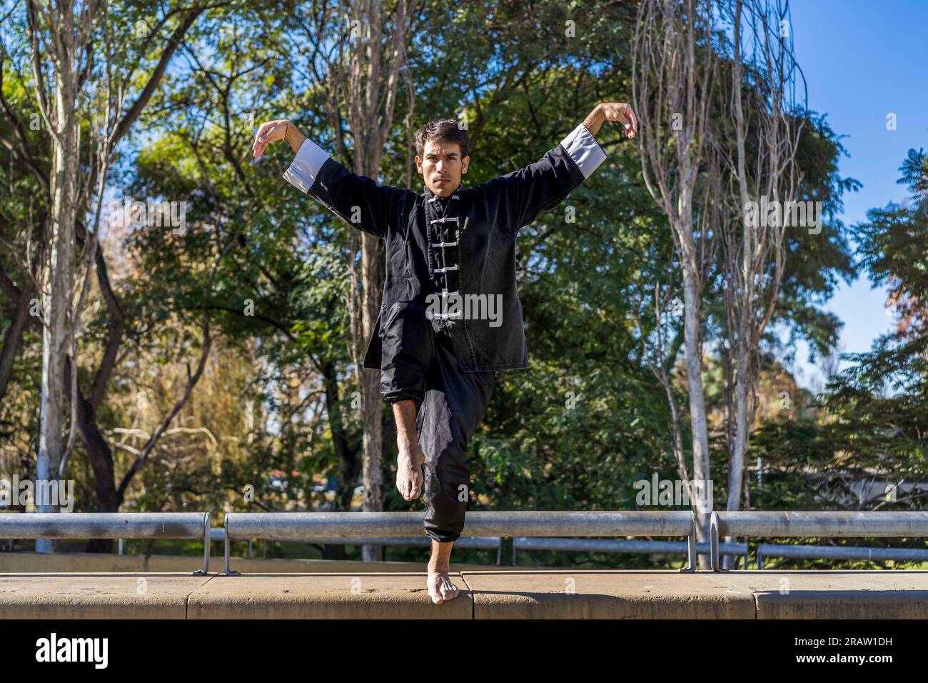 Martial arts fighter practicing crane pose Stock Photo - Alamy