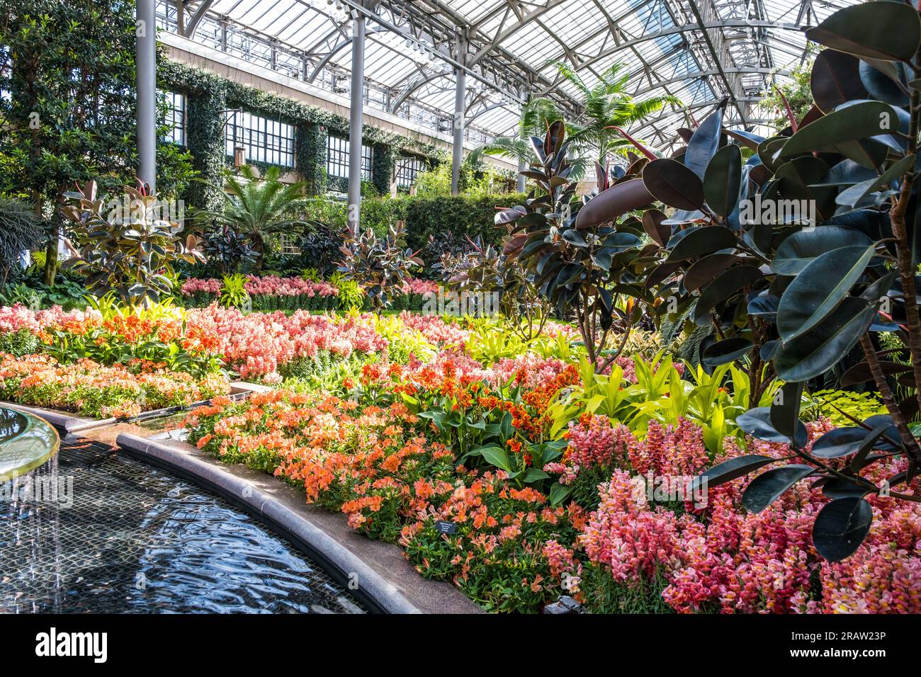 Botanical garden plant hi-res stock photography and images - Alamy