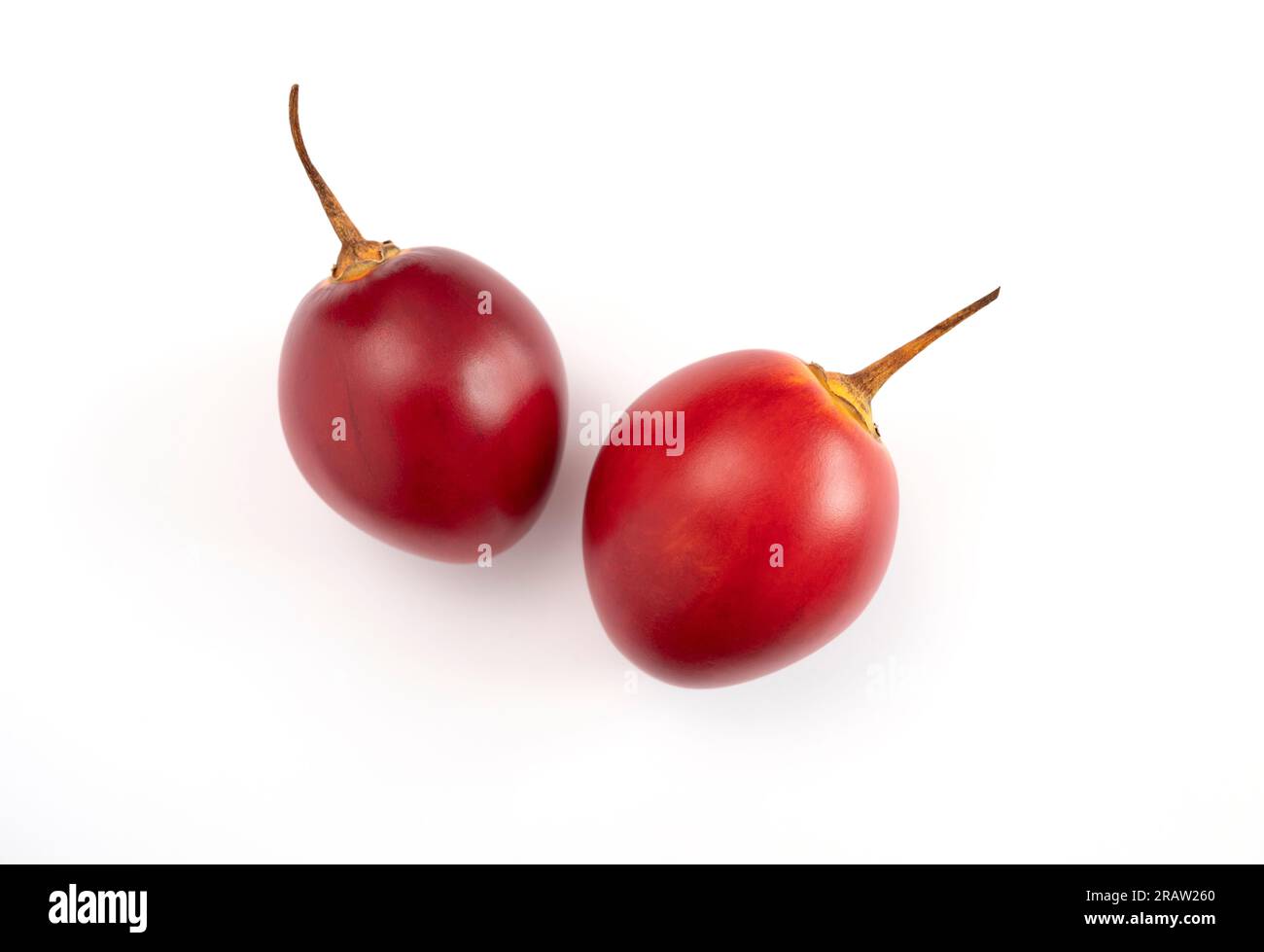 Isolated Fresh Tamarillo Fruit On White Background. Egg-shaped Edible ...