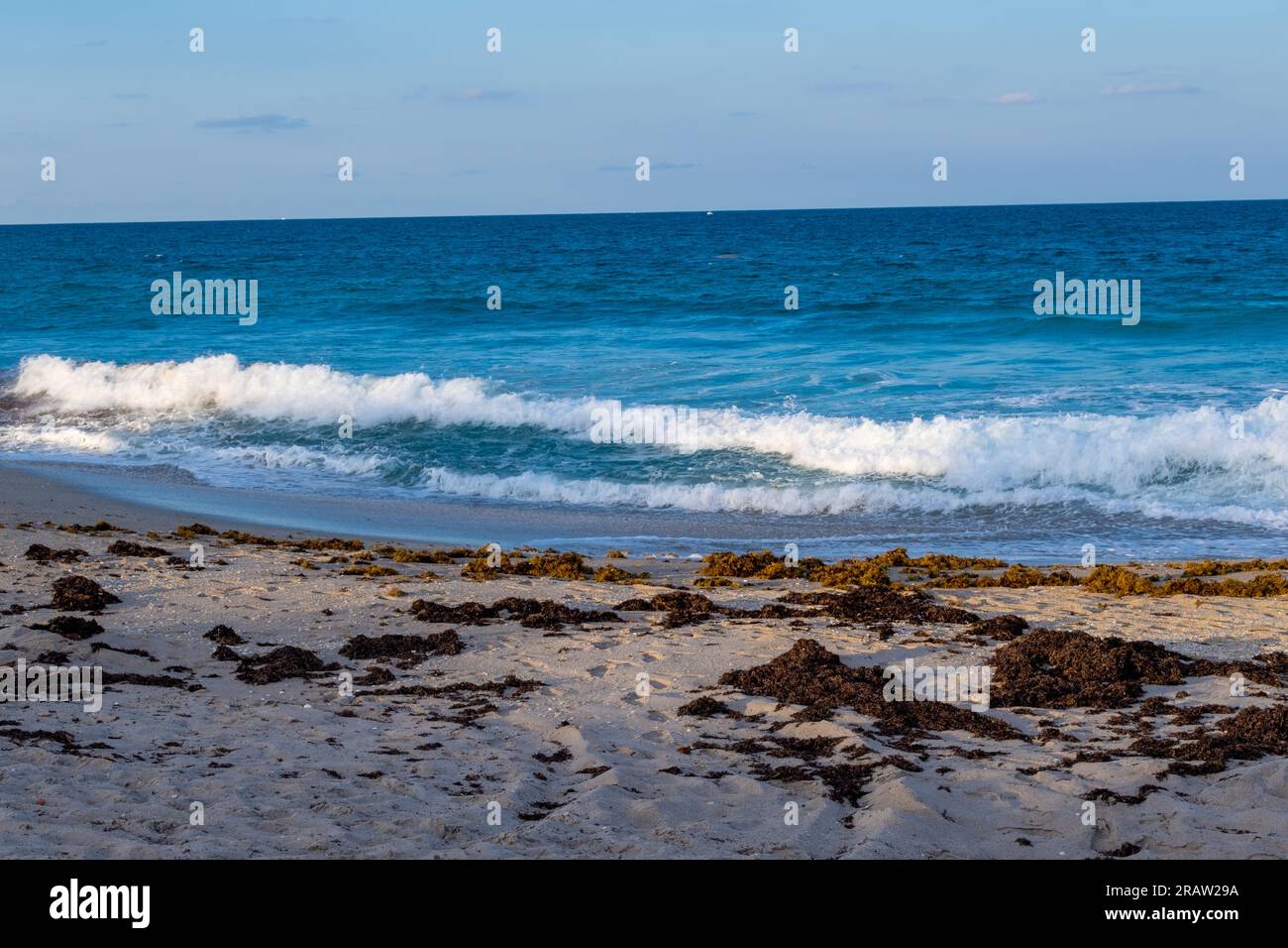 Beautiful beach in florida Stock Photo - Alamy