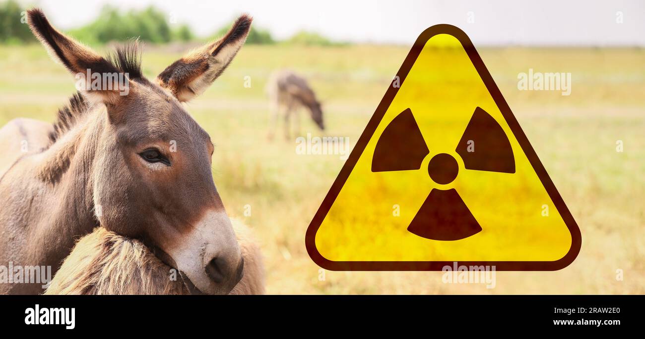 Donkey warning sign hi-res stock photography and images - Alamy