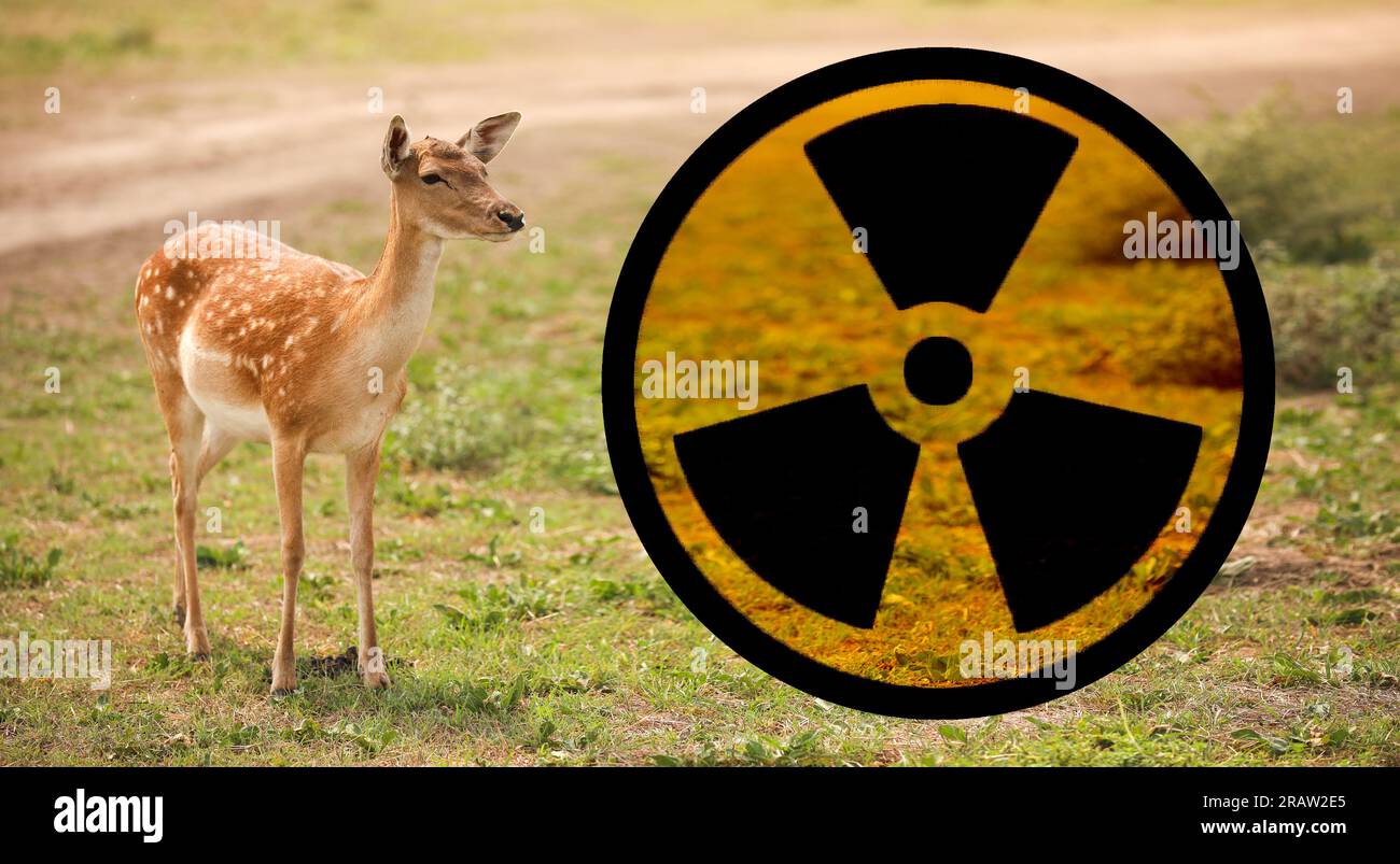 Nuclear mutation hi-res stock photography and images - Alamy