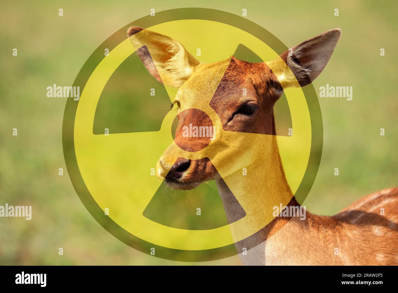 Nuclear mutation hi-res stock photography and images - Alamy