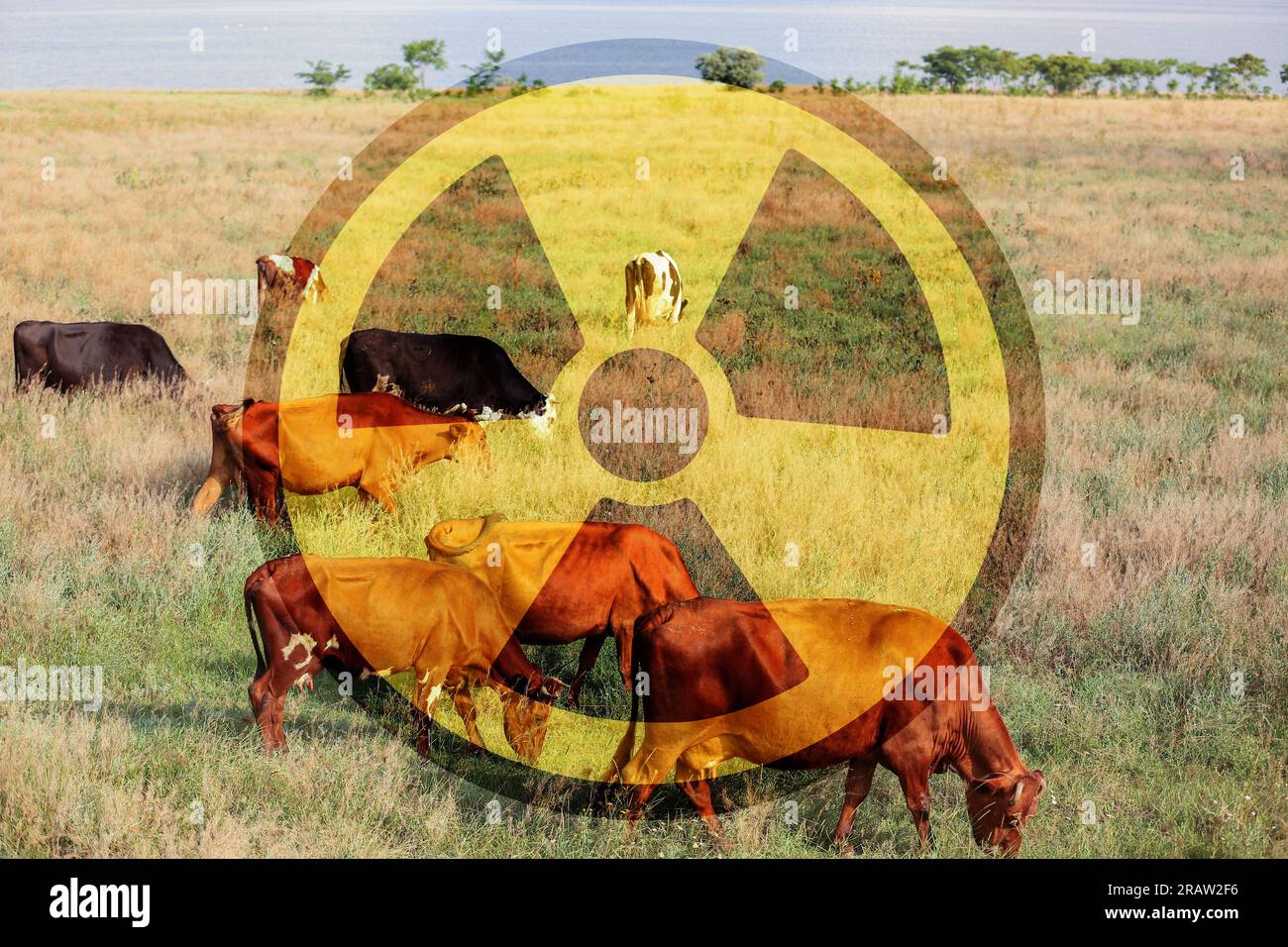 Mutation ranch hi-res stock photography and images - Alamy