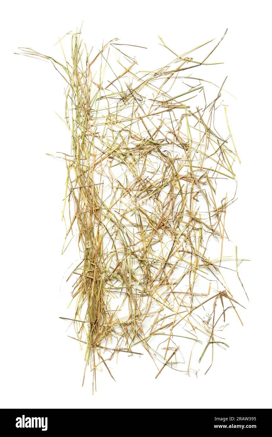 Straw scattered on white background Stock Photo - Alamy