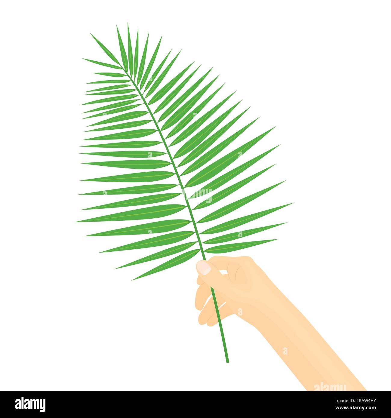 hand holding palm leaf, symbol of Christian Palm Sunday- vector ... hand holding palm leaf, symbol of Christian Palm Sunday- vector ...