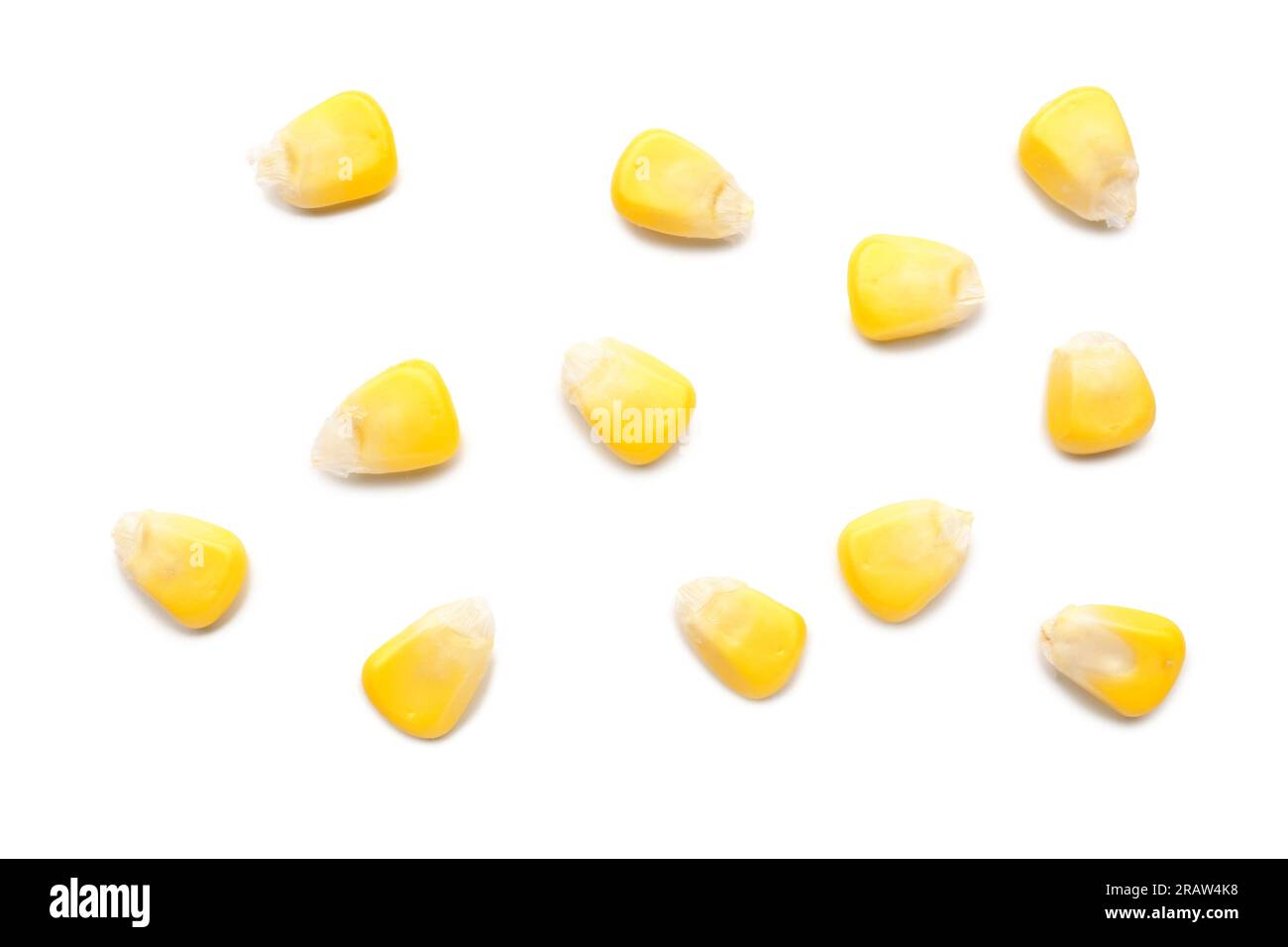 Fresh corn seeds on white background Stock Photo - Alamy