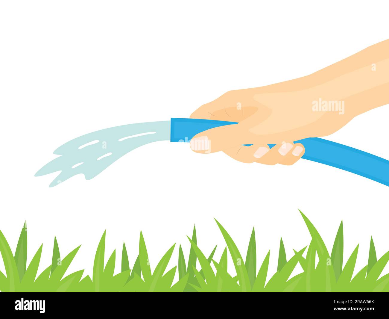 hand holding garden hose and watering lawn- vector illustration Stock ...