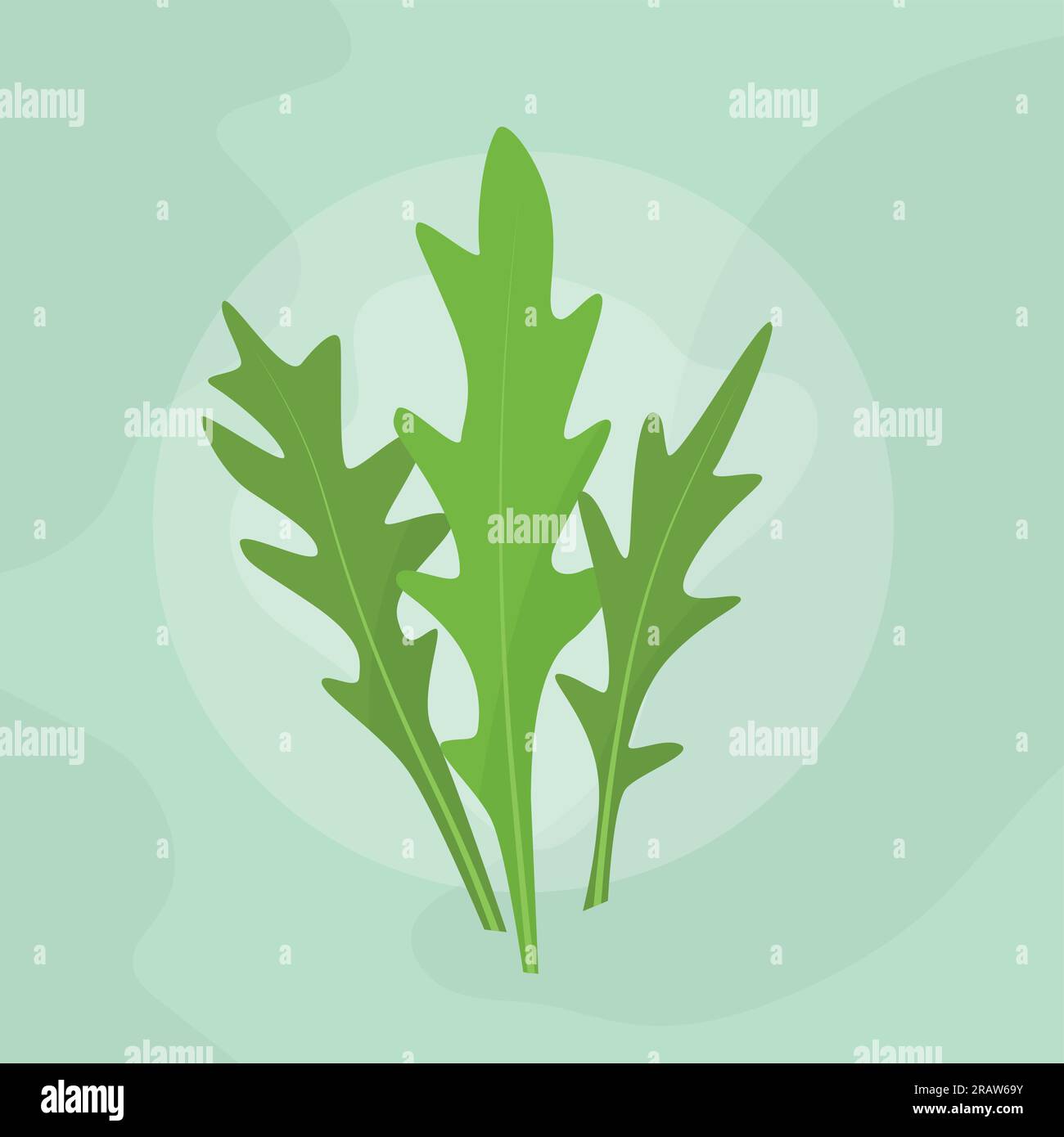 fresh arugula leaves icon -vector illustration Stock Vector Image & Art ...