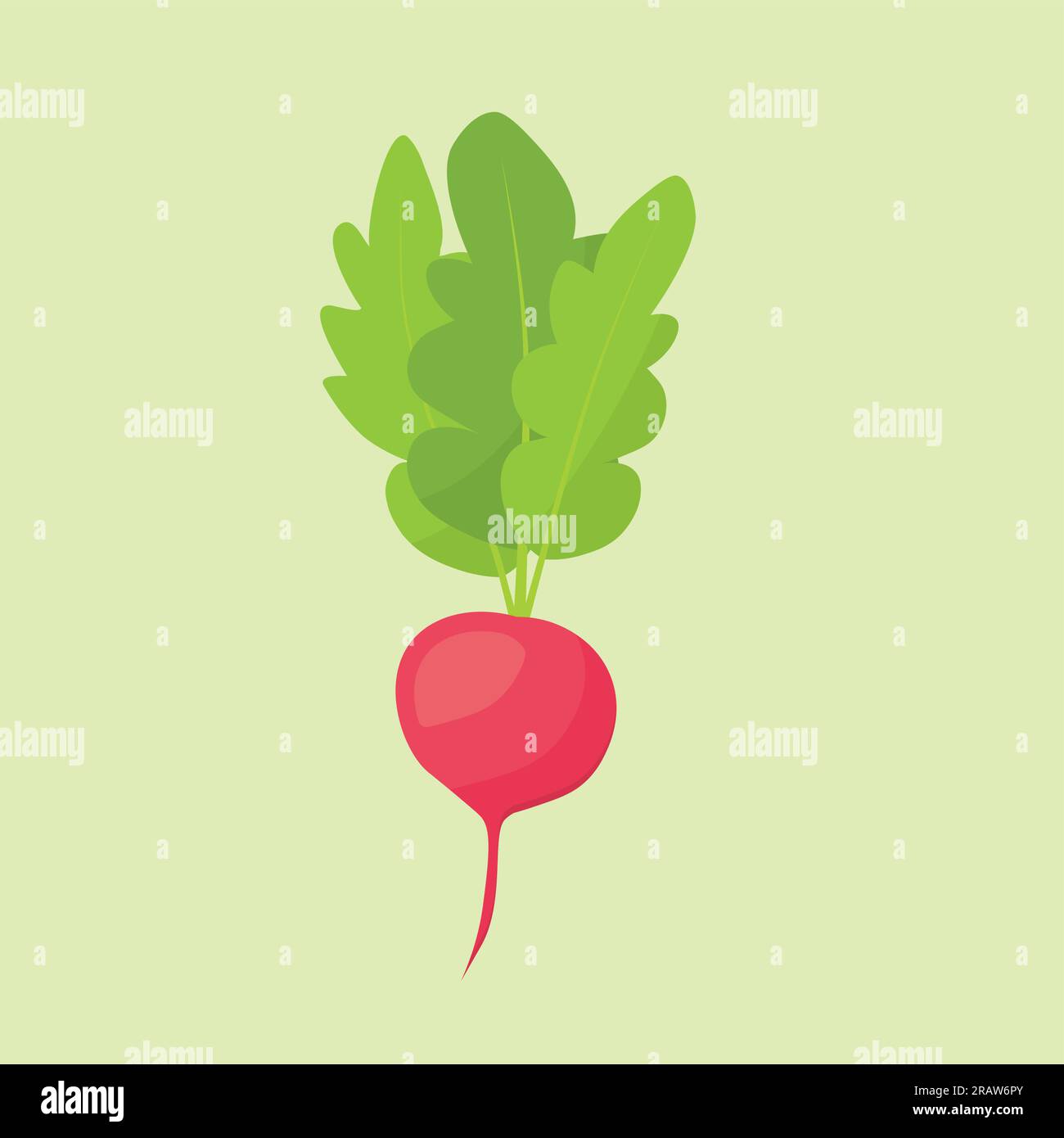 Radish icon cartoon vector Stock Vector Images - Alamy