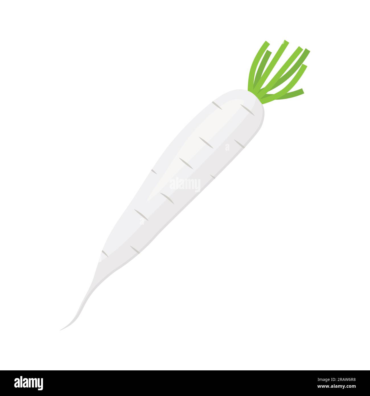 white daikon radish vegetable icon -vector illustration Stock Vector ...