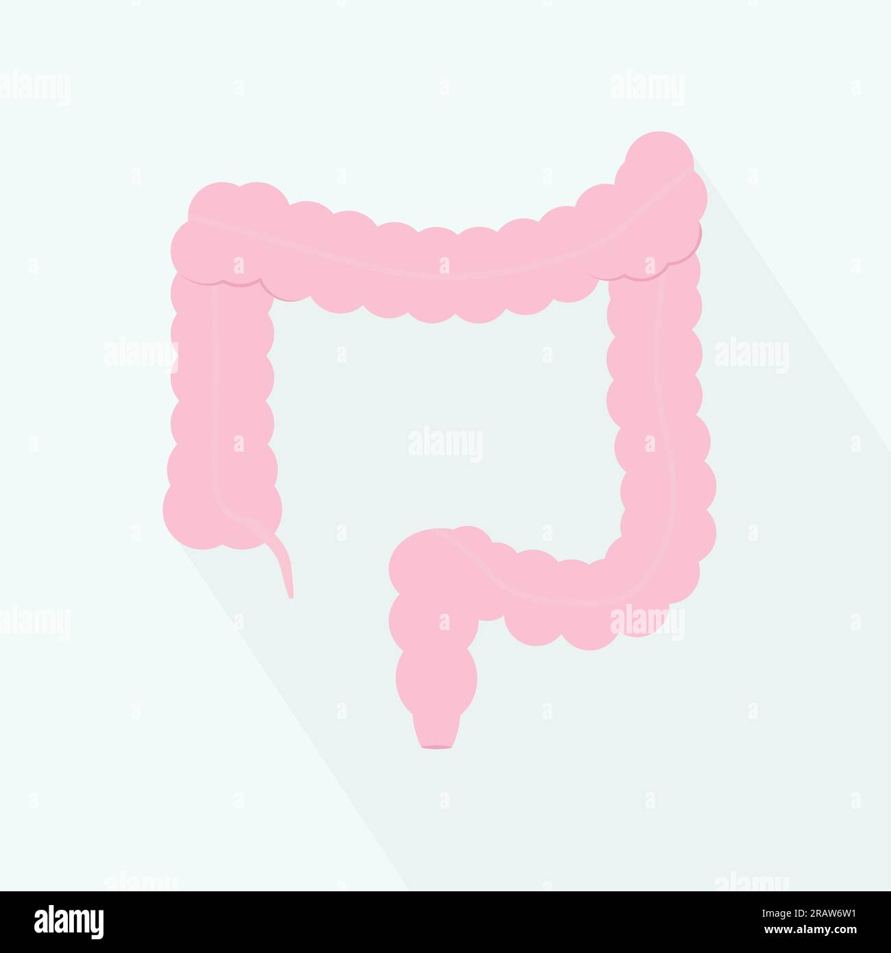 large bowel icon- vector illustration Stock Vector Image & Art - Alamy