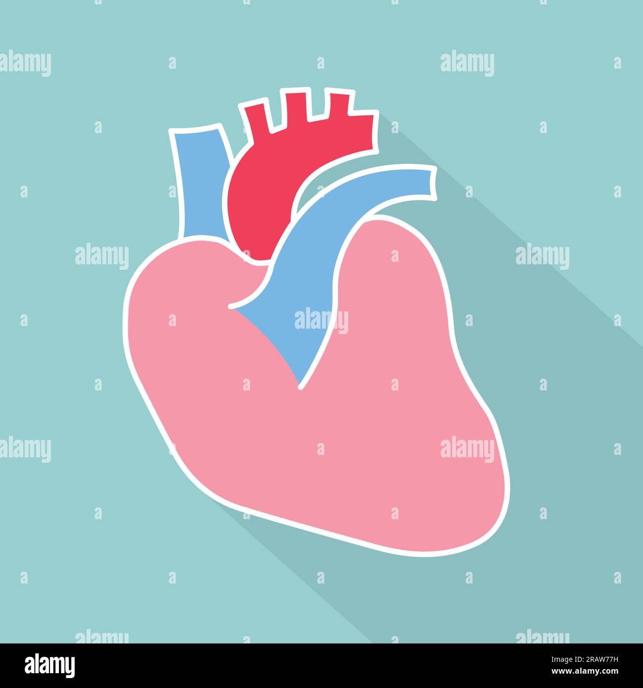Human internal organic human heart hi-res stock photography and images ...