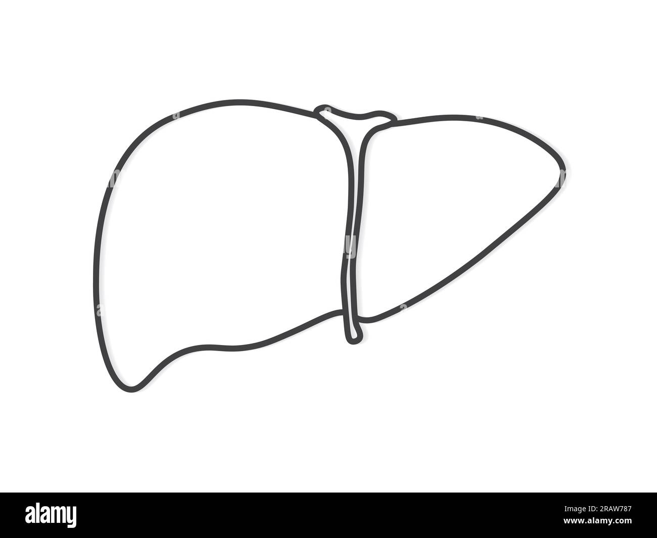 black outline of liver icon- vector illustration Stock Vector Image ...