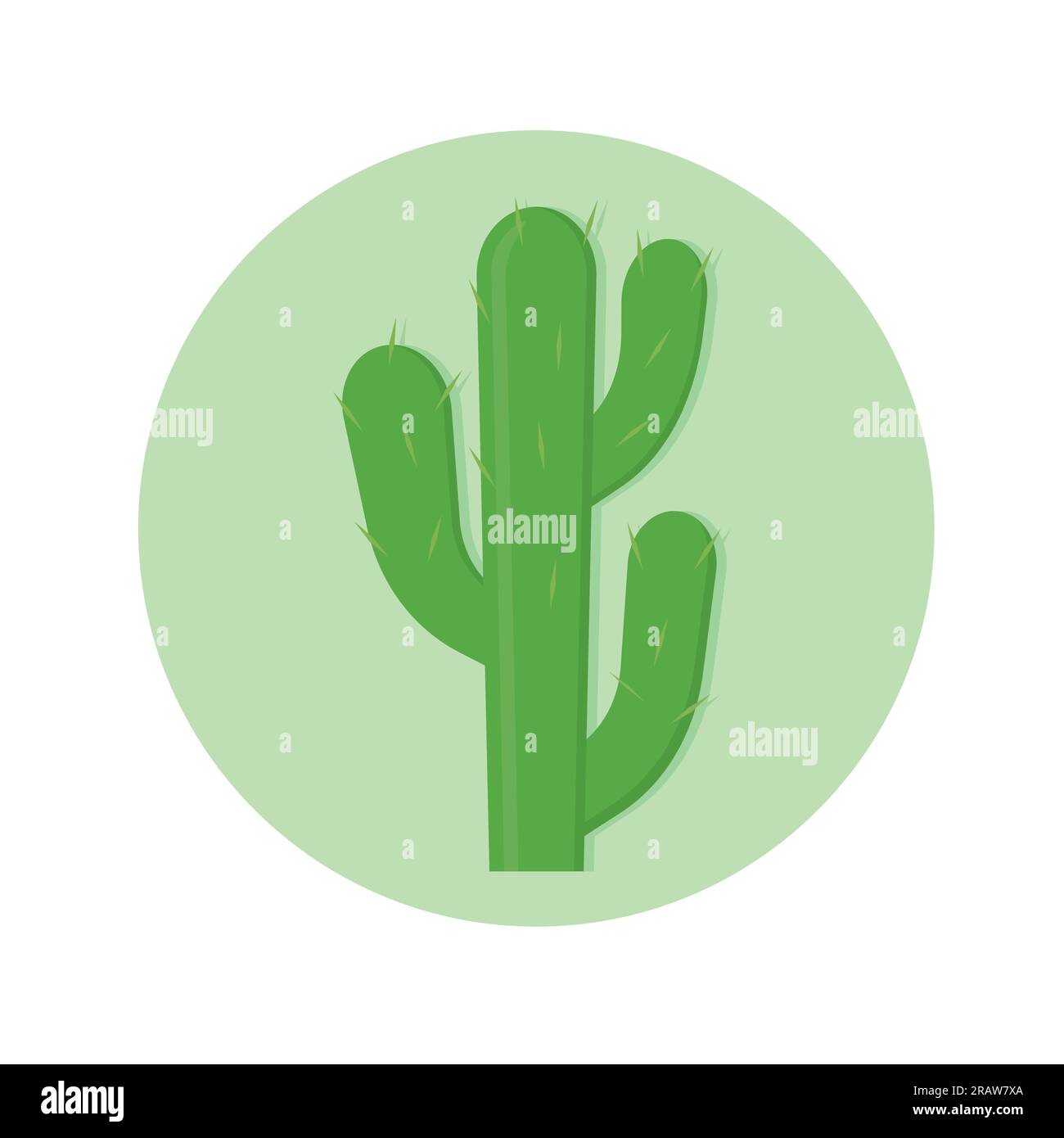 green cactus plant - vector illustration Stock Vector Image & Art - Alamy