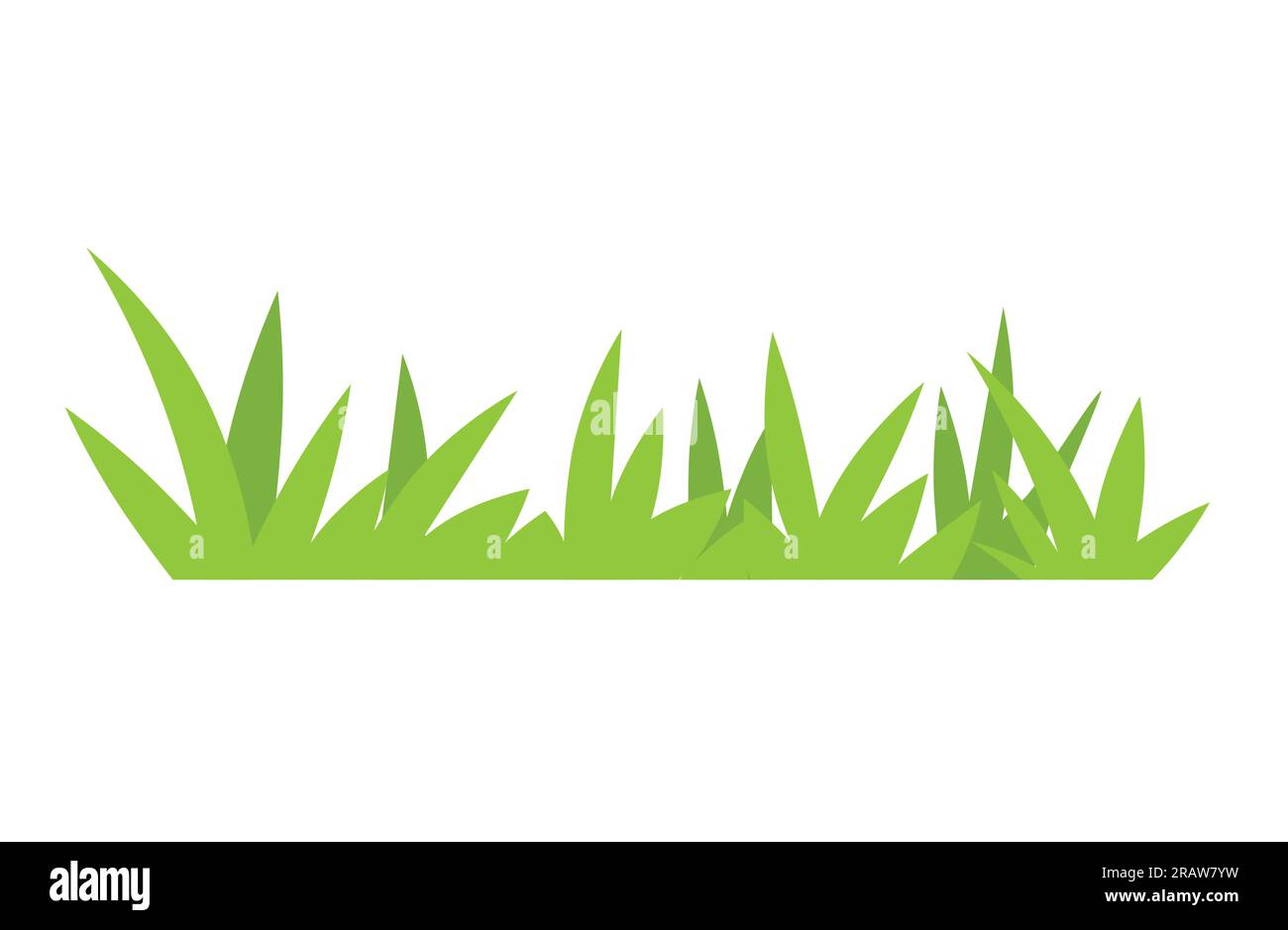 blades of green grass- vector illustration Stock Vector Image & Art - Alamy blades of green grass- vector illustration Stock Vector Image & Art - Alamy