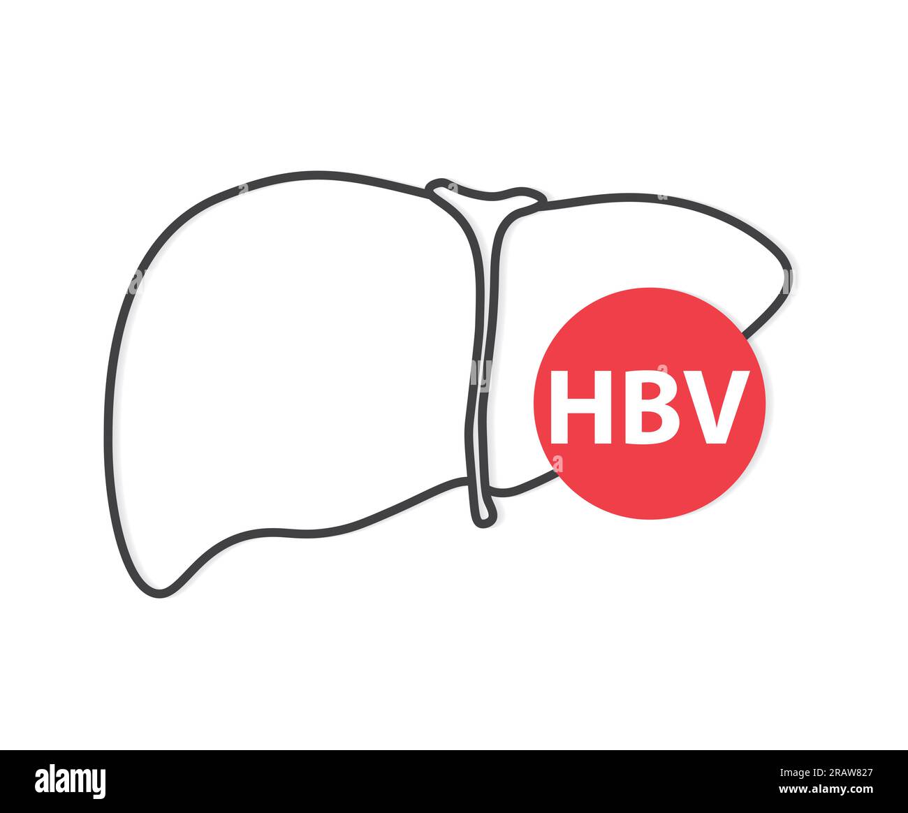 Hbv Hepatitis B Virus And Liver Outline Vector Illustration Stock Vector Image And Art Alamy