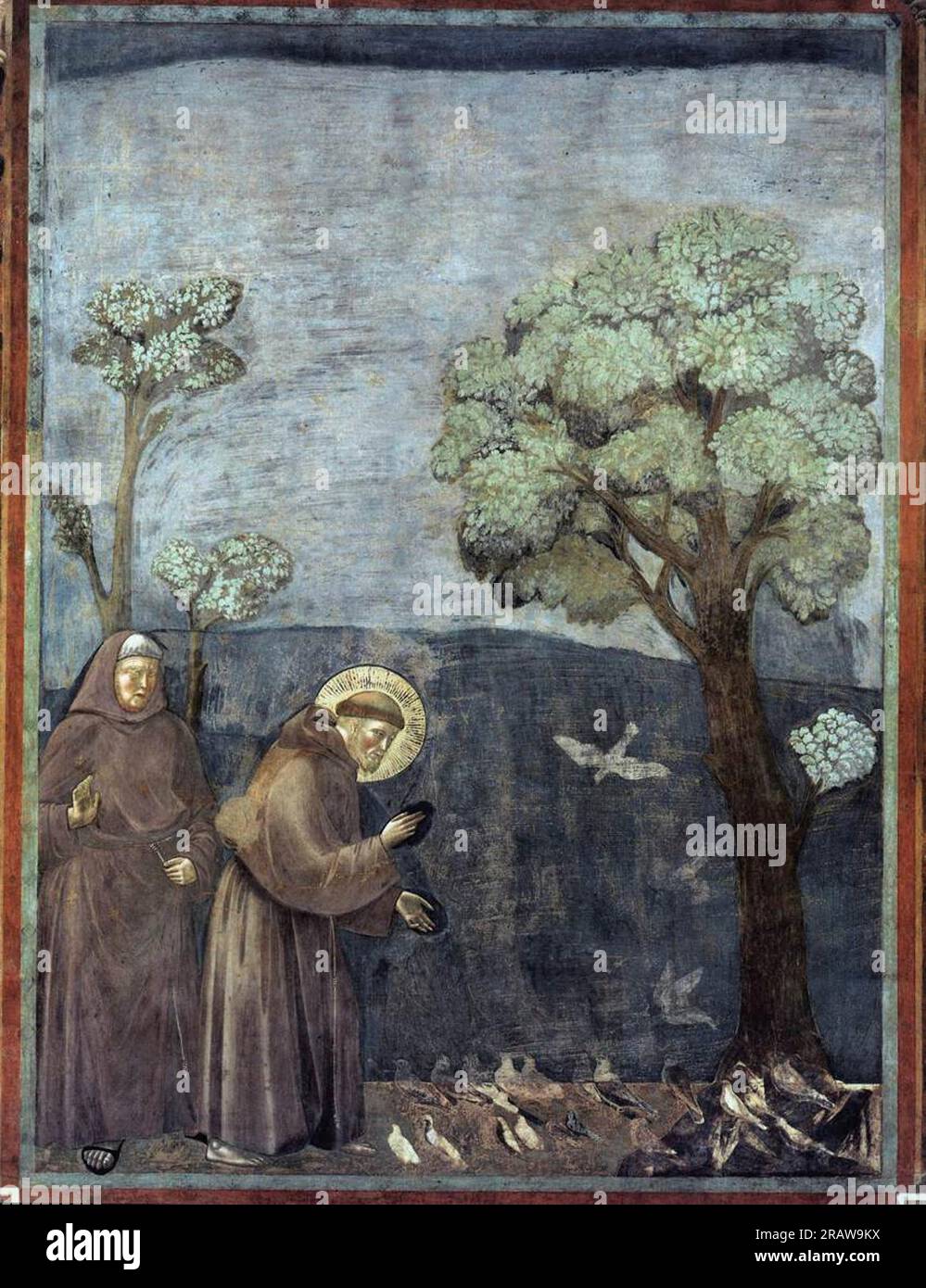 St. Francis Preaching to the Birds 1299 by Giotto Stock Photo - Alamy