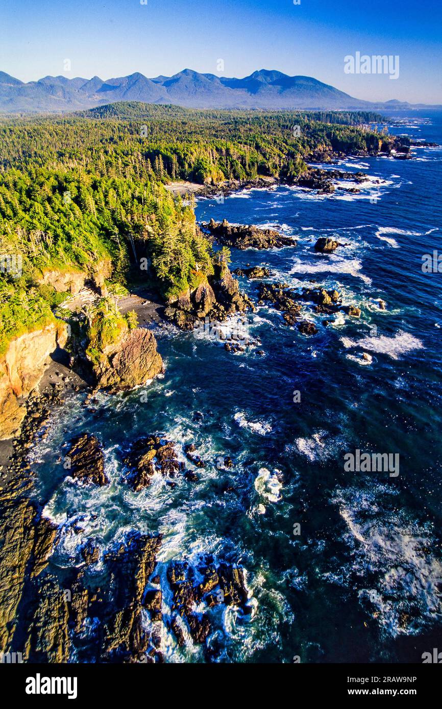 Aerial image of the Pacific Rim area Vancouver Island, BC, Canada Stock ...