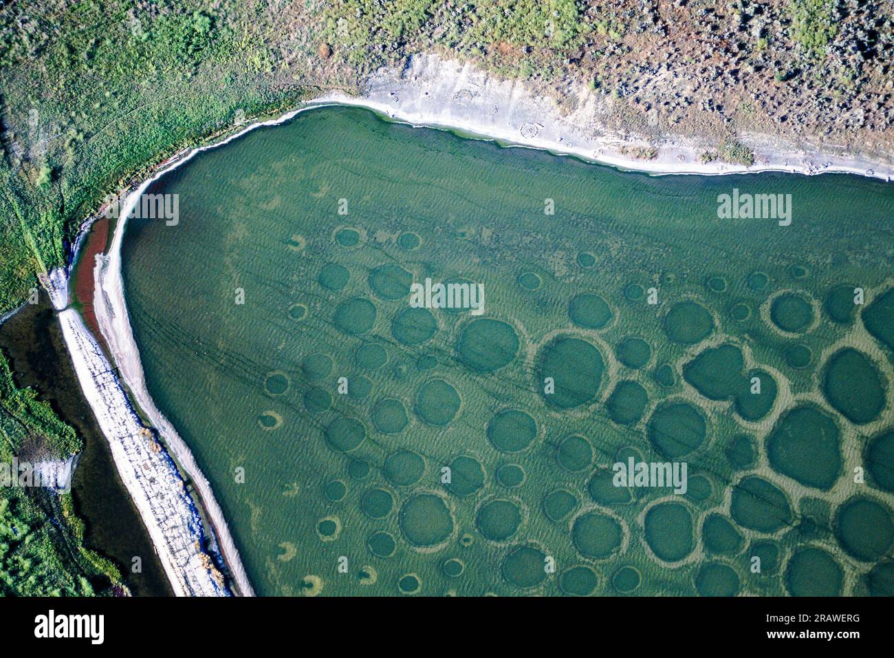 Spotted lake canada hi-res stock photography and images - Alamy