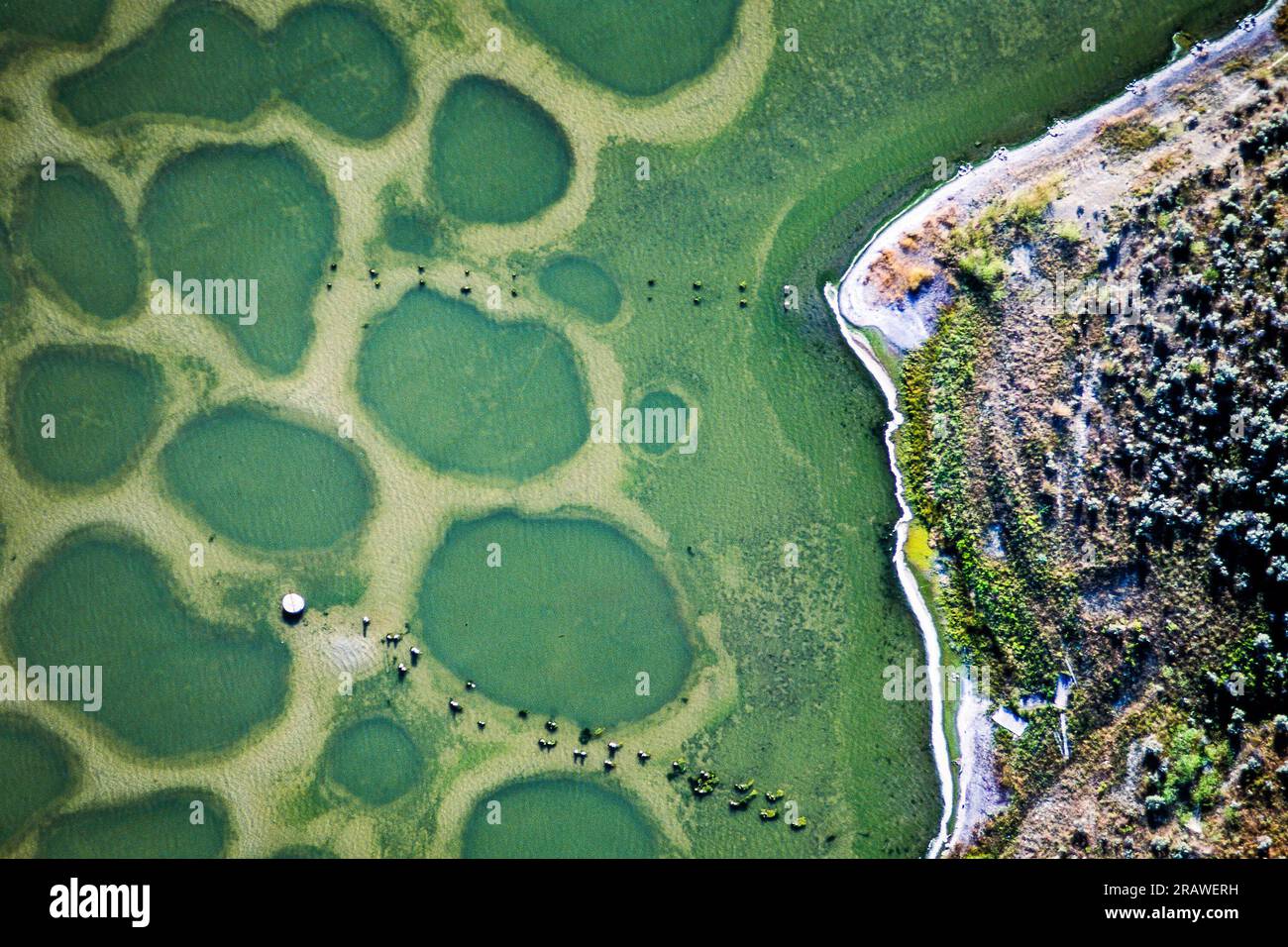 Aerial image of Spotted Lake, BC, Canada Stock Photo - Alamy