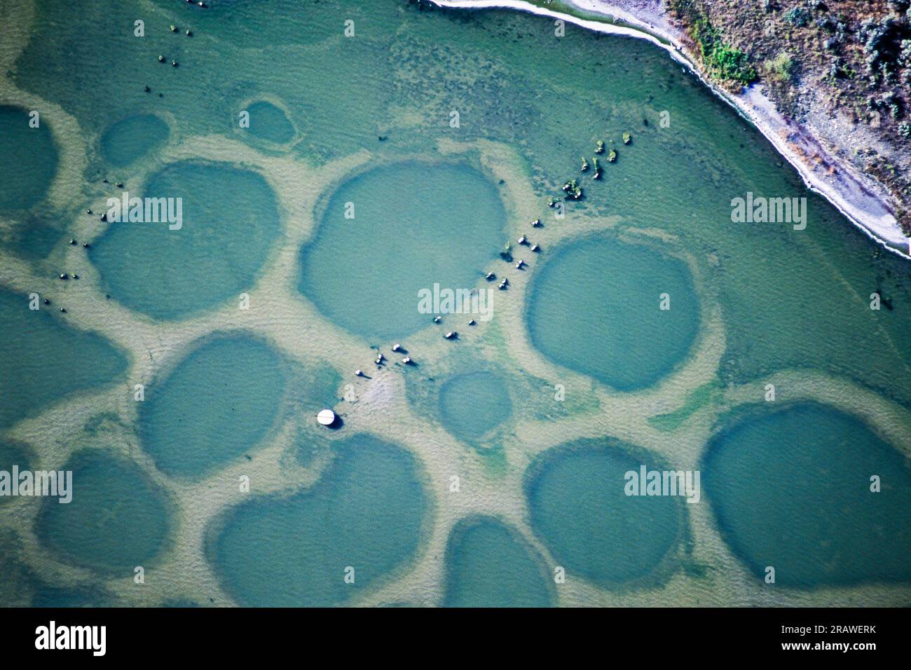 Aerial image of Spotted Lake, BC, Canada Stock Photo - Alamy