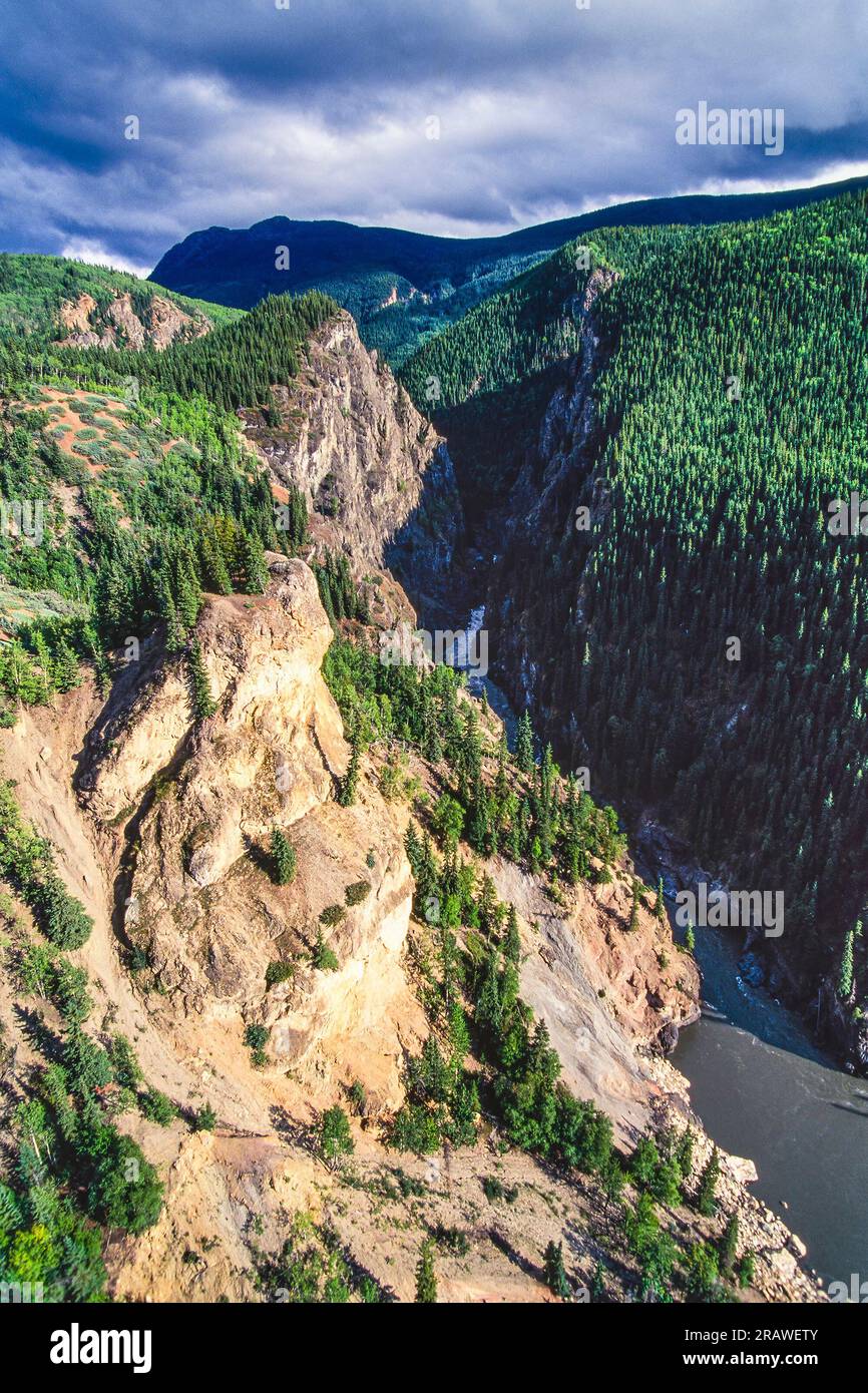 Stikine river wildlife hi-res stock photography and images - Alamy