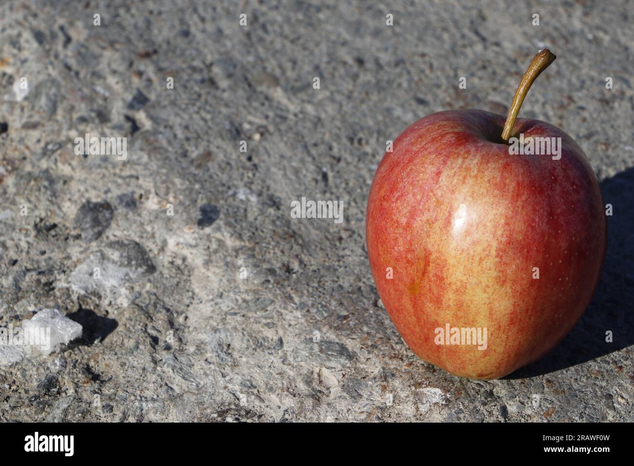 Random Fruits and Plants Stock Photo - Alamy