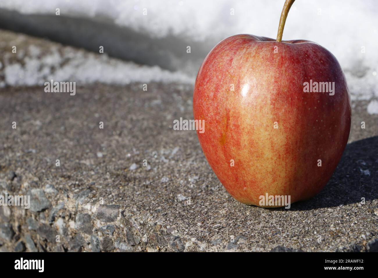 Random Fruits and Plants Stock Photo - Alamy
