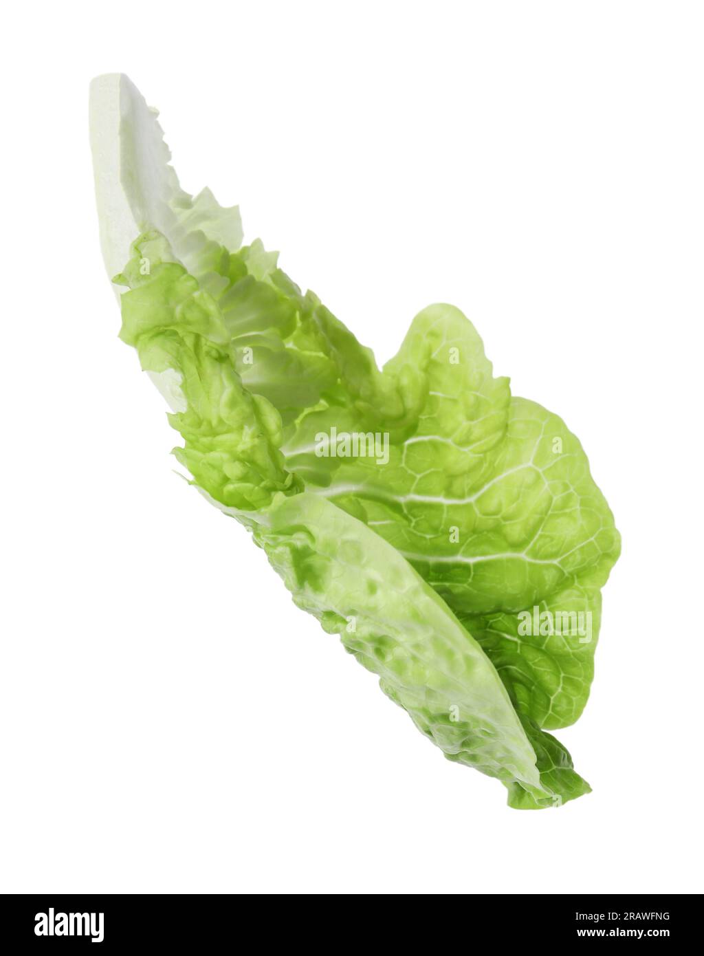 Fresh leaf of green romaine lettuce isolated on white Stock Photo - Alamy