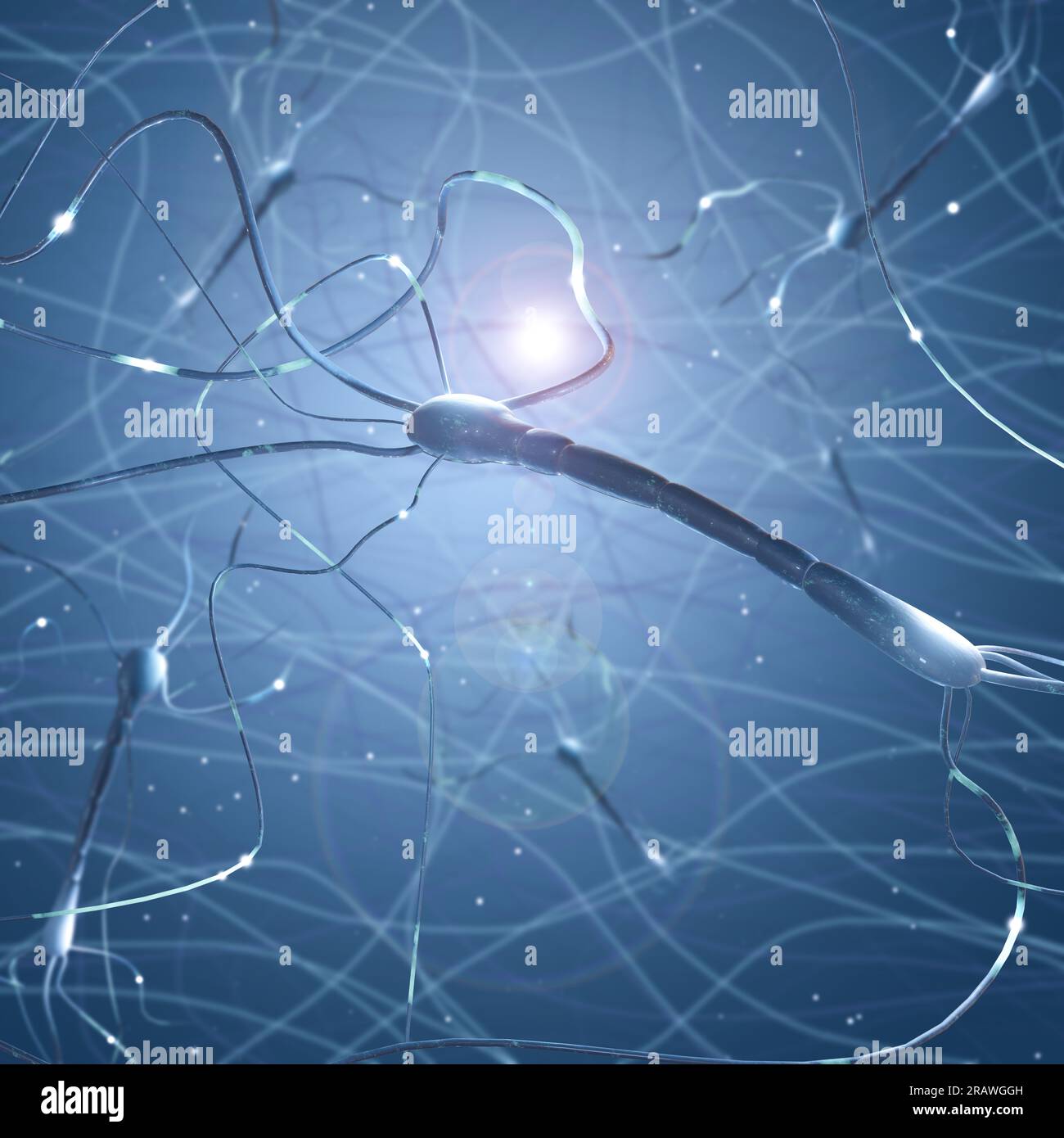 Nerve system. Impulses traveling through myelinated axons on blue background, illustration Stock ...