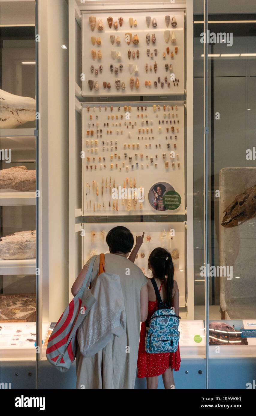 the Gilder Center at the American Museum Of Natural History on the ...