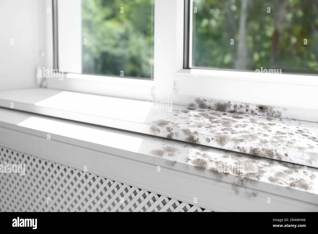 Wall affected black mold hi-res stock photography and images - Alamy