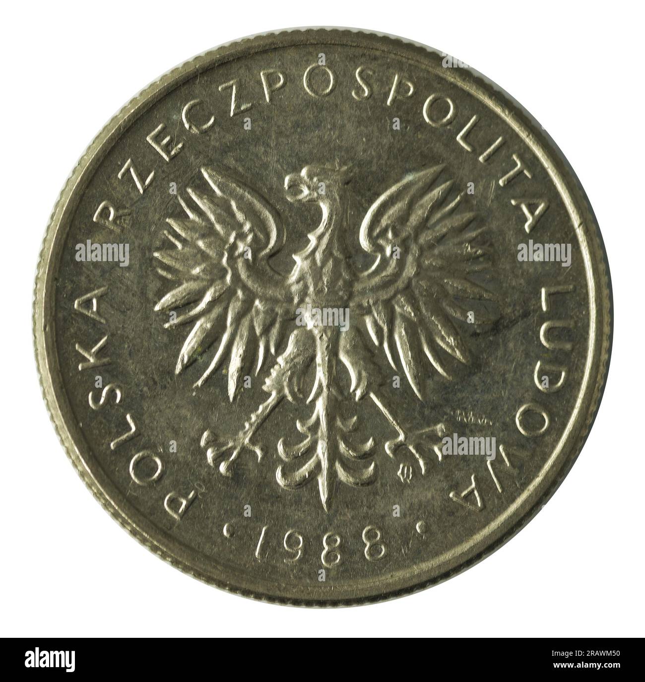 Coin Polish top view close up Stock Photo - Alamy