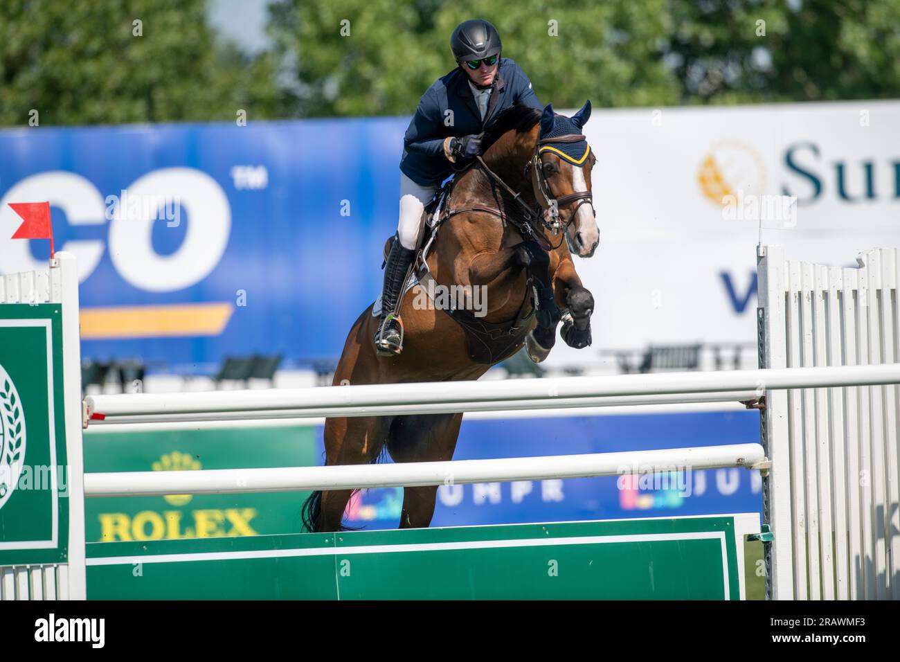 American spruce hi-res stock photography and images - Alamy