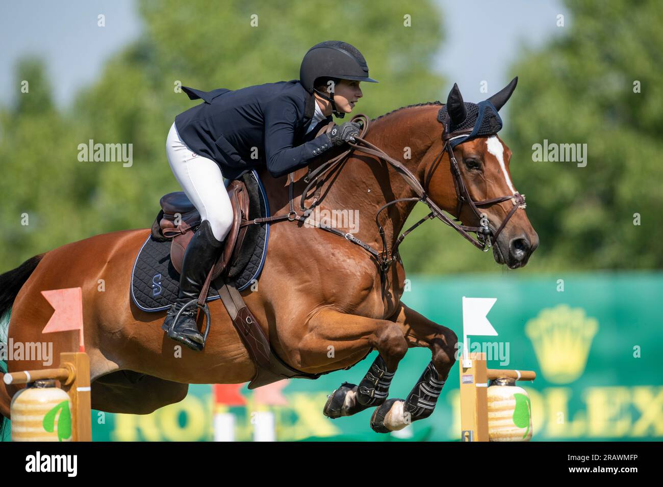 Adrienne sternlicht hi-res stock photography and images - Alamy