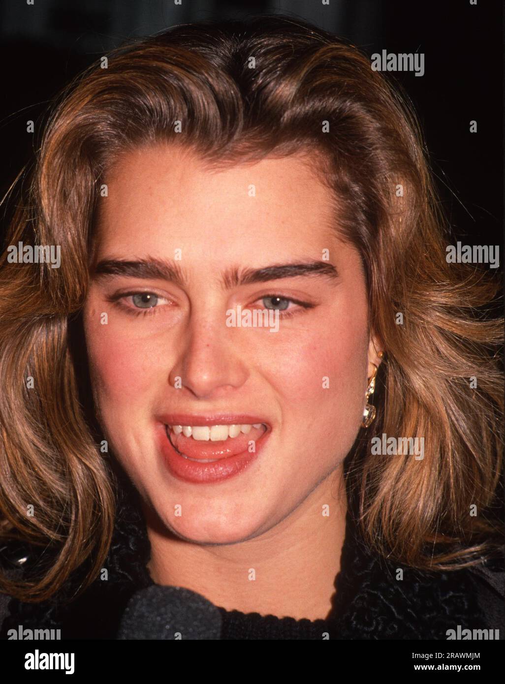 1986Brooke Shields John Barrett/PHOTOlink /MediaPunch / MediaPunch Stock Photo - Alamy
