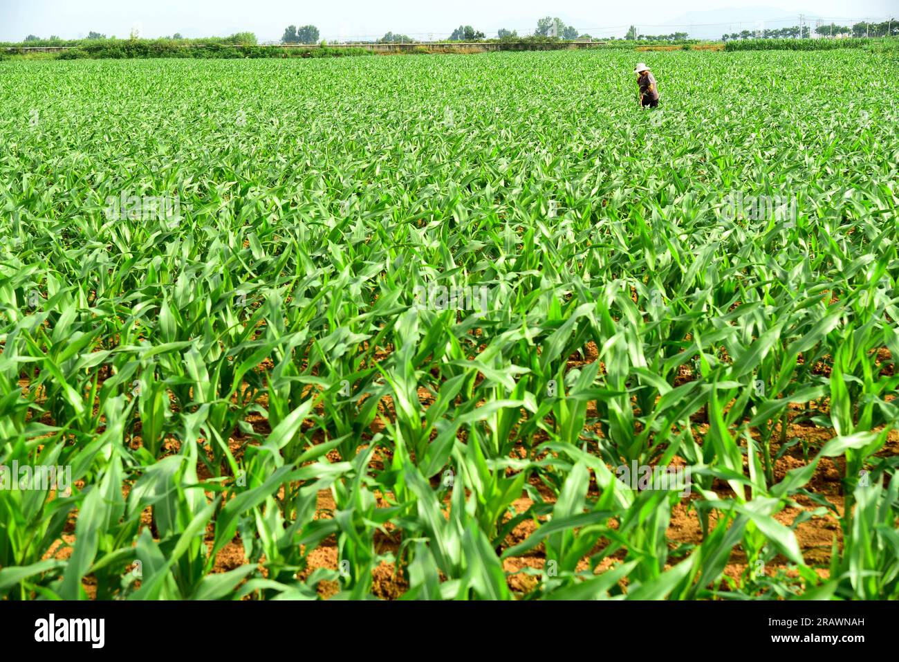 Shanting town hi-res stock photography and images - Alamy