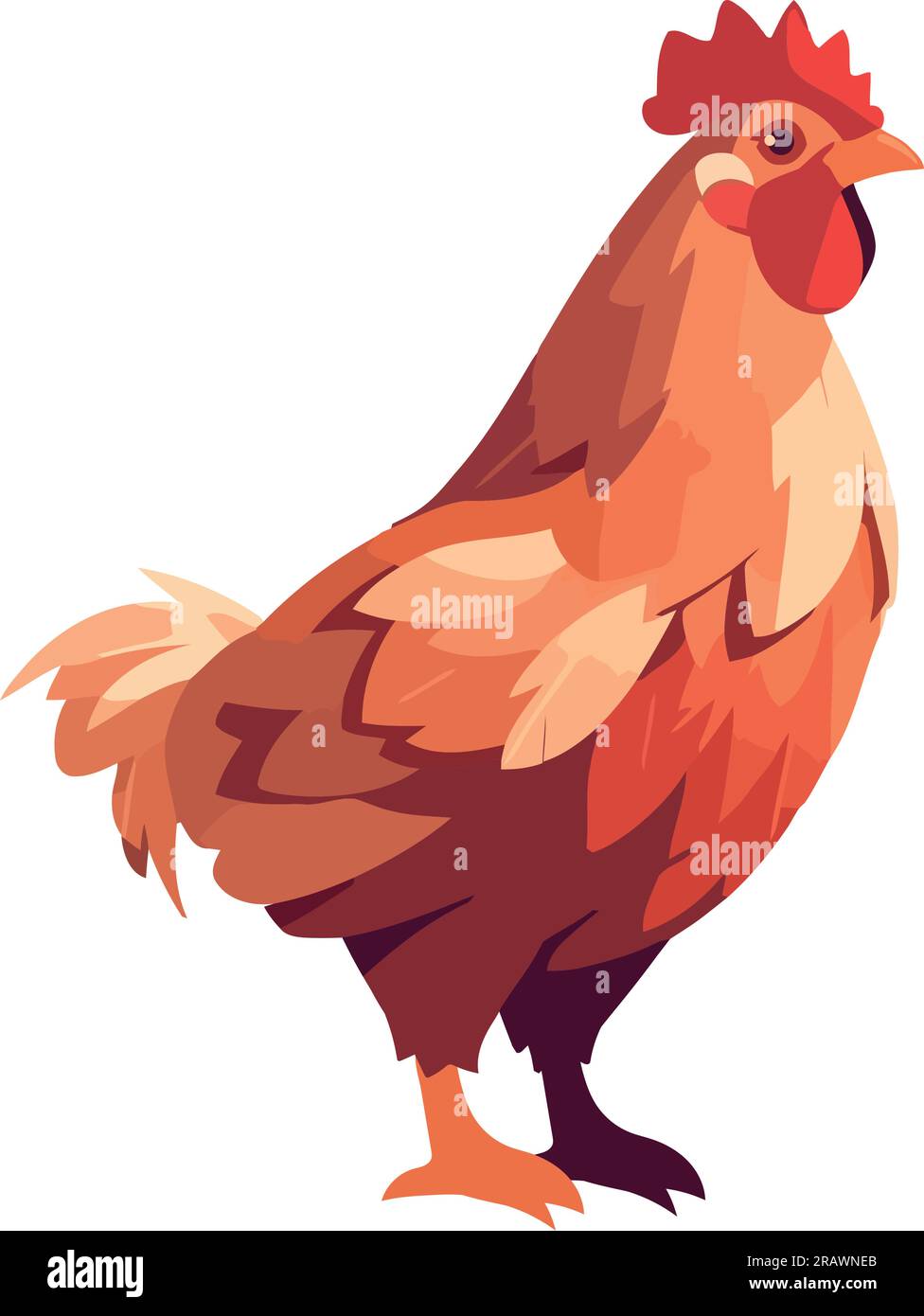 standing rooster crowing on a farm Stock Vector Image & Art - Alamy