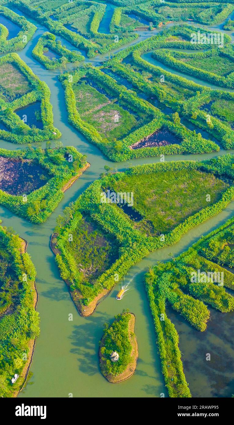 SUQIAN, CHINA - JULY 4, 2023 - Tourists take boats ride in the reed ...
