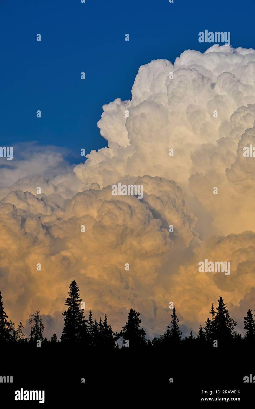 A vertical image of a huge white thunder cloud against a blue sky in ...
