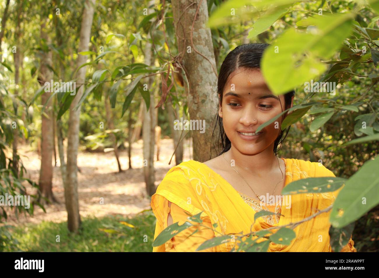 Portrait of a Indian girl standing behind tree Stock Photo - Alamy