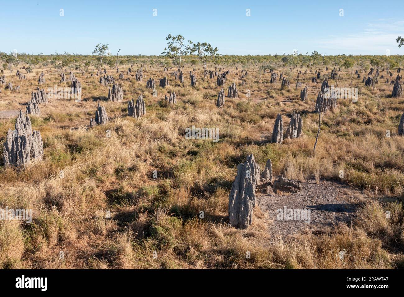 Giant termite mounds in outback Queensland, Australia Stock Photo - Alamy