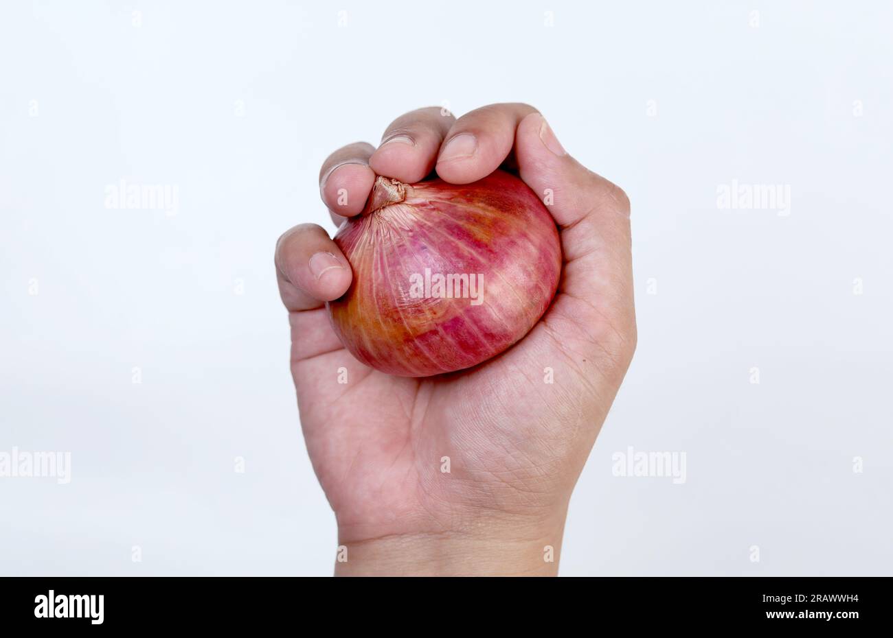 Man Hand holding red onion isolated on white background Stock Photo - Alamy