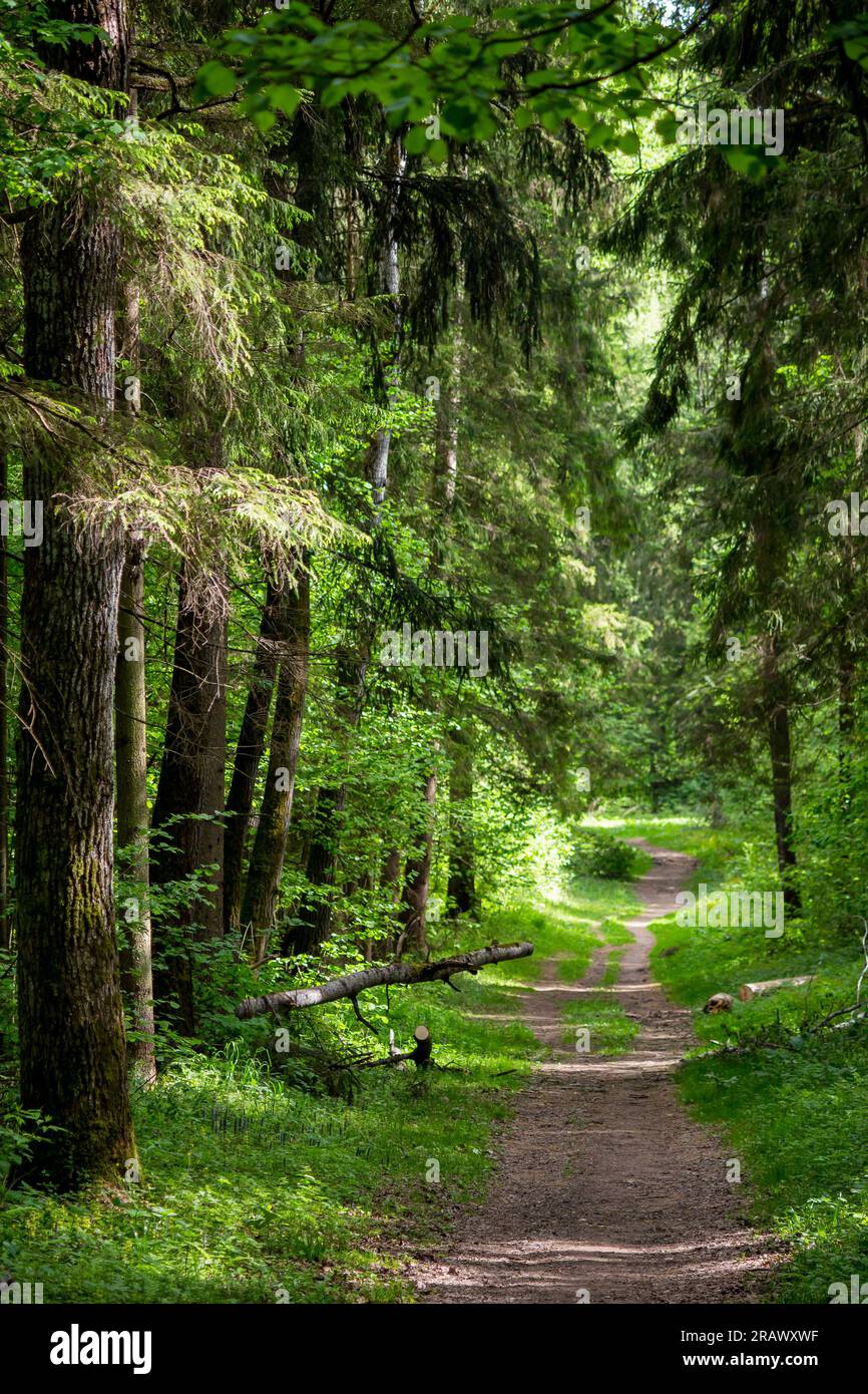 Trampled path hi-res stock photography and images - Alamy